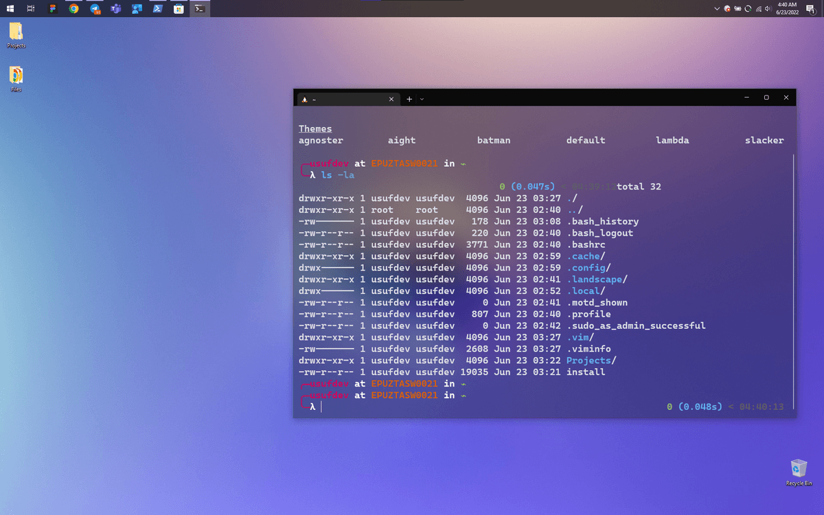 Fish shell on Windows 10 using Linux subsystem